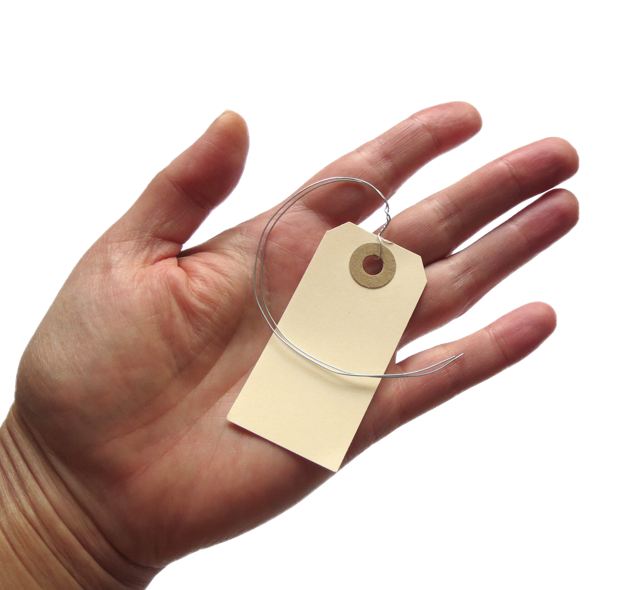 Manila Paper Tags #1 with Wire Attached, 2 3/4” x 1 3/8”, (Box of 250 ...